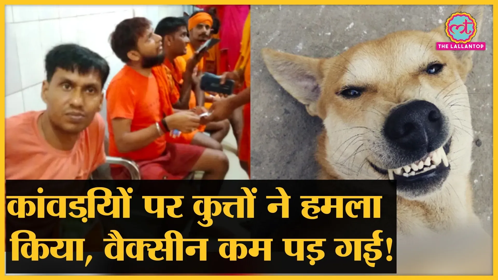 बिहार में कांवड़ियों को कुत्तों ने काटा, पीड़ित बोले- झुंड में आए ...