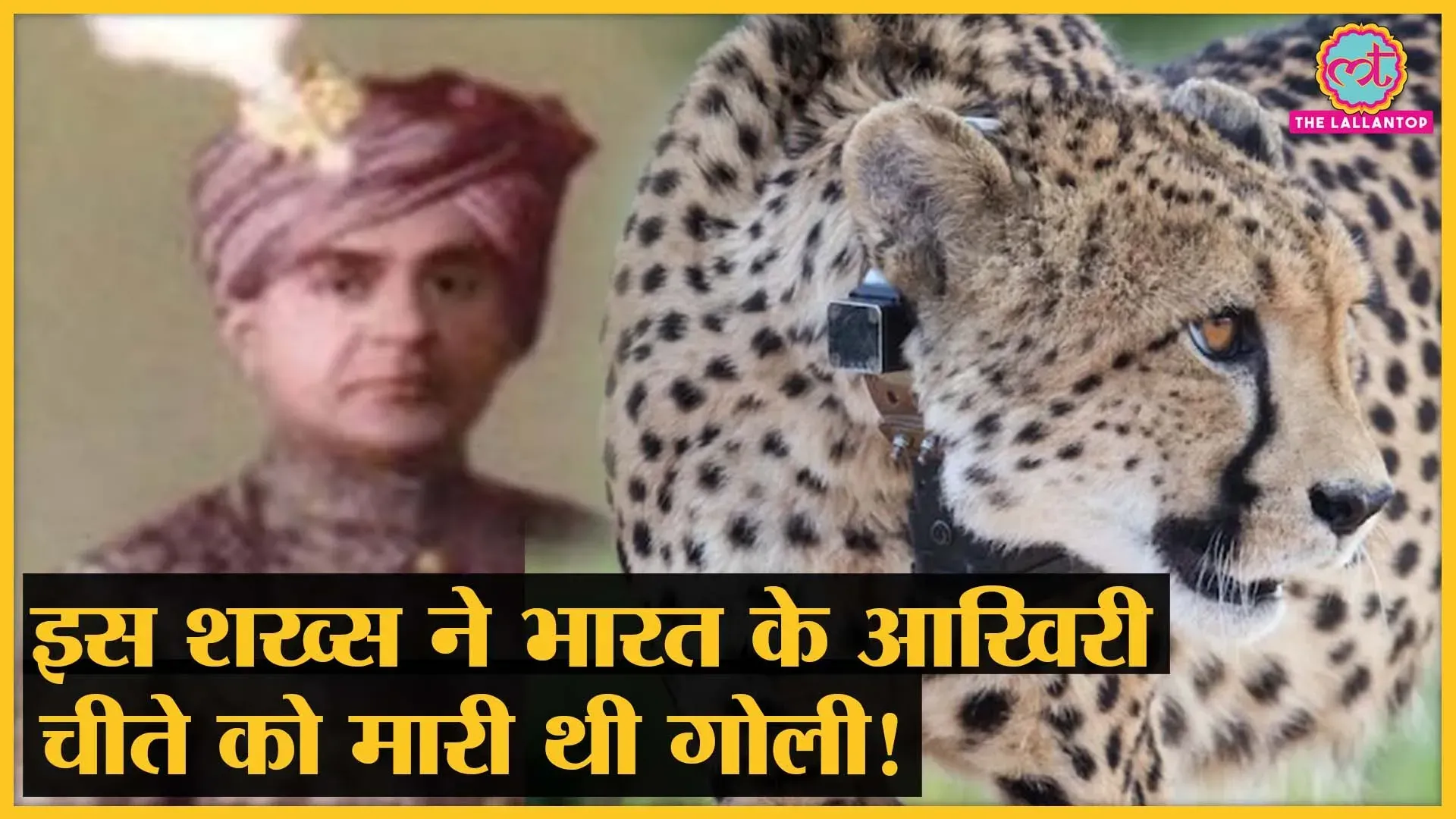 कौन थे महाराजा रामानुज प्रताप सिंह देव, जिन्होंने आखिरी भारतीय चीते को ...