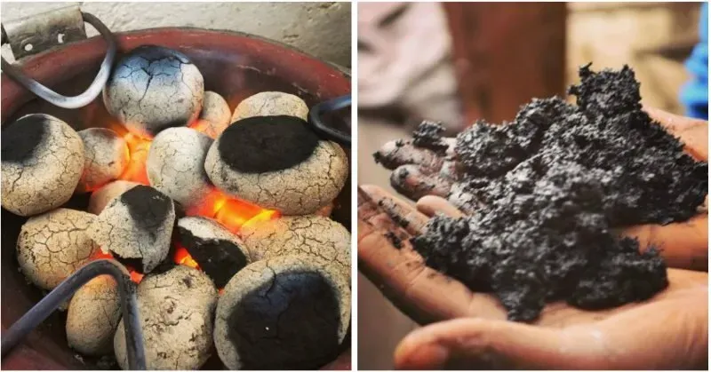 सिलेंडर के बढ़े रेट से परेशान लोगों, यहां लोग टट्टी से खाना बनाने लगे ...