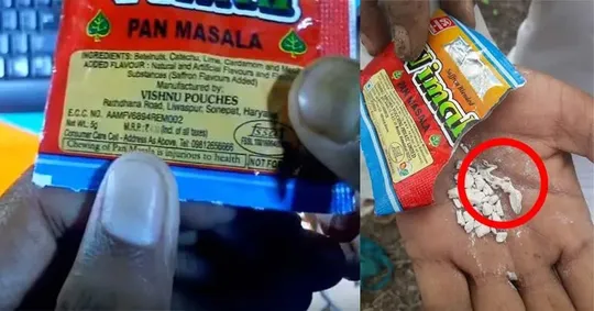 केसर युक्त विमल के पाउच में ये छिपकली कैसे पहुंची? - Dead lizard in ...