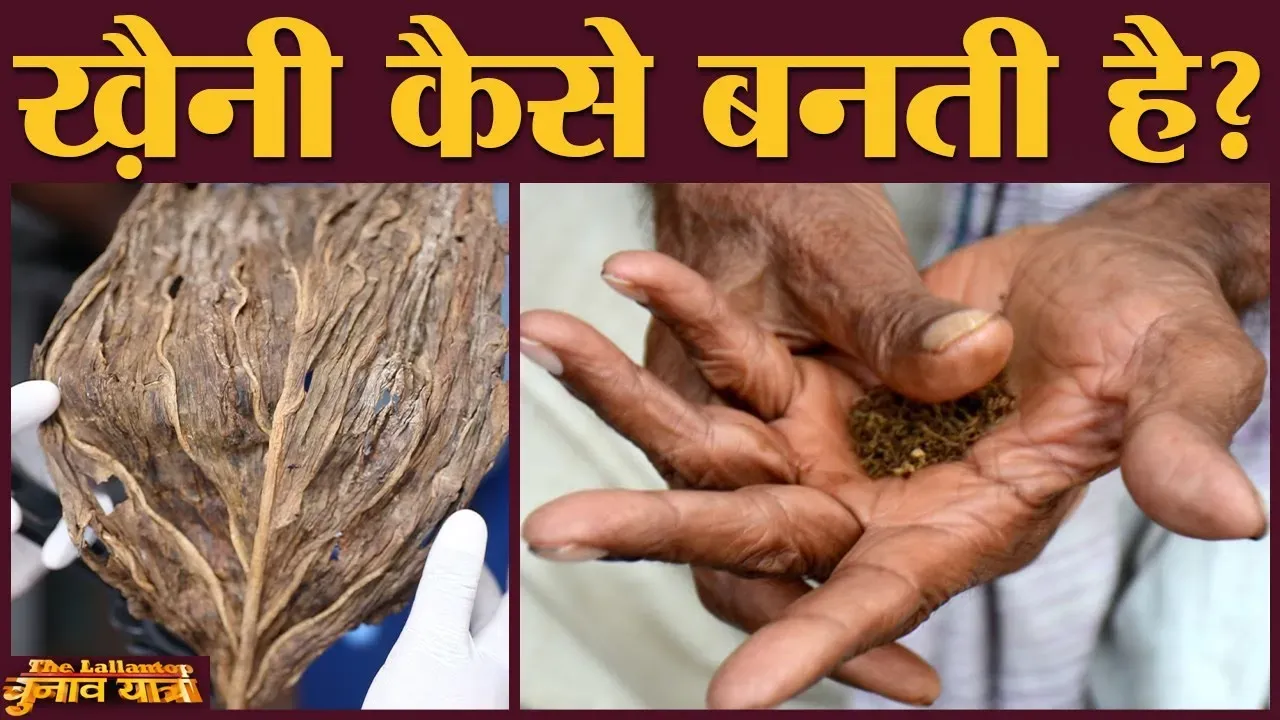 बिहार चुनाव: दुनिया भर में मशहूर हाजीपुर की खैनी बनती कैसे है, जान ...